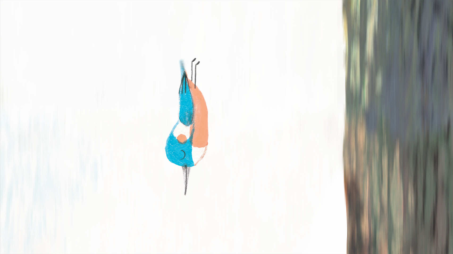 Mel Fell / Mel Fell - Cactus Film Festival